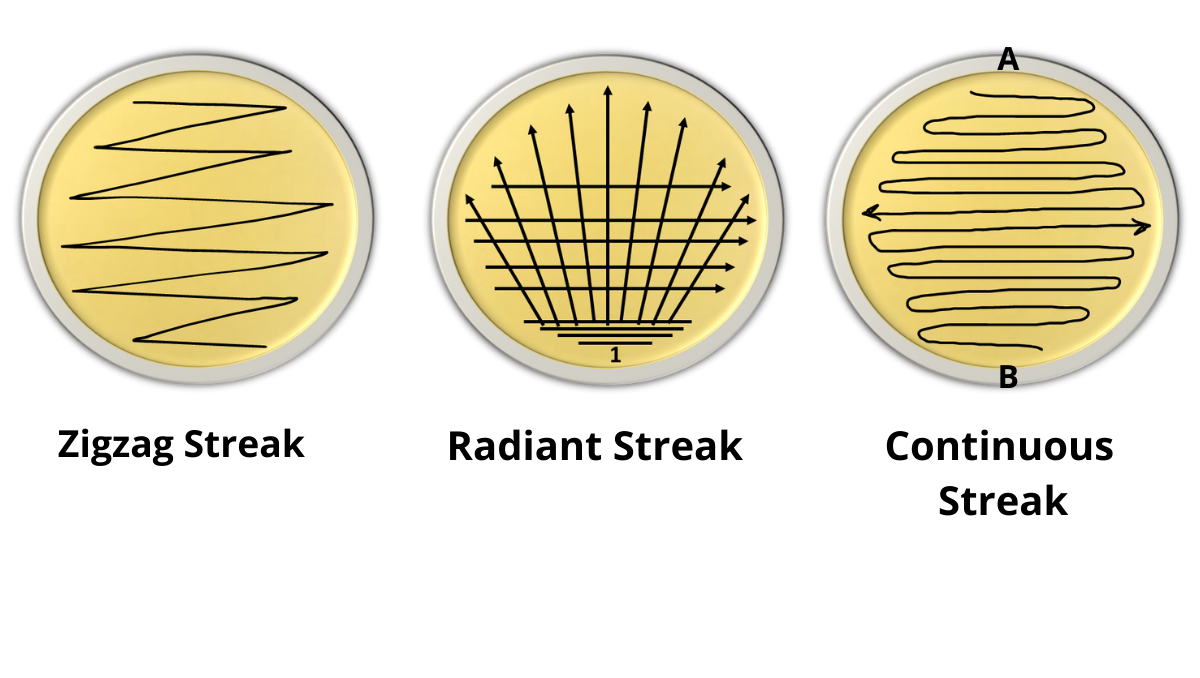 Isolation Streak With Quadrants