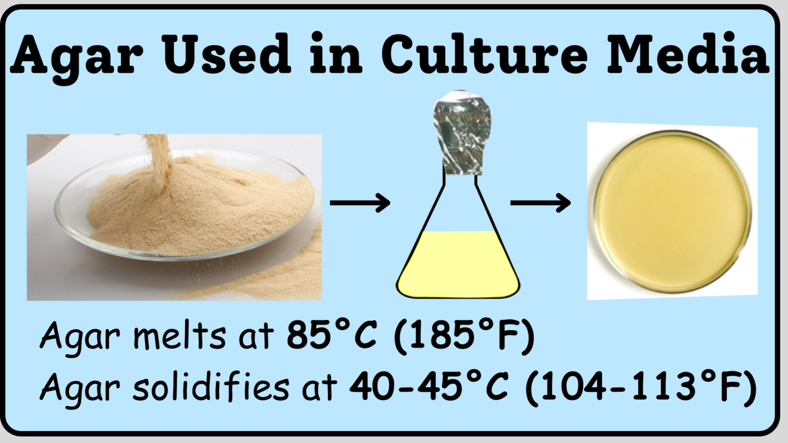 Properties Of Agar Used In Culture Media RBR Life Science properties-of-agar-used-in-culture-media-rbr-life-science