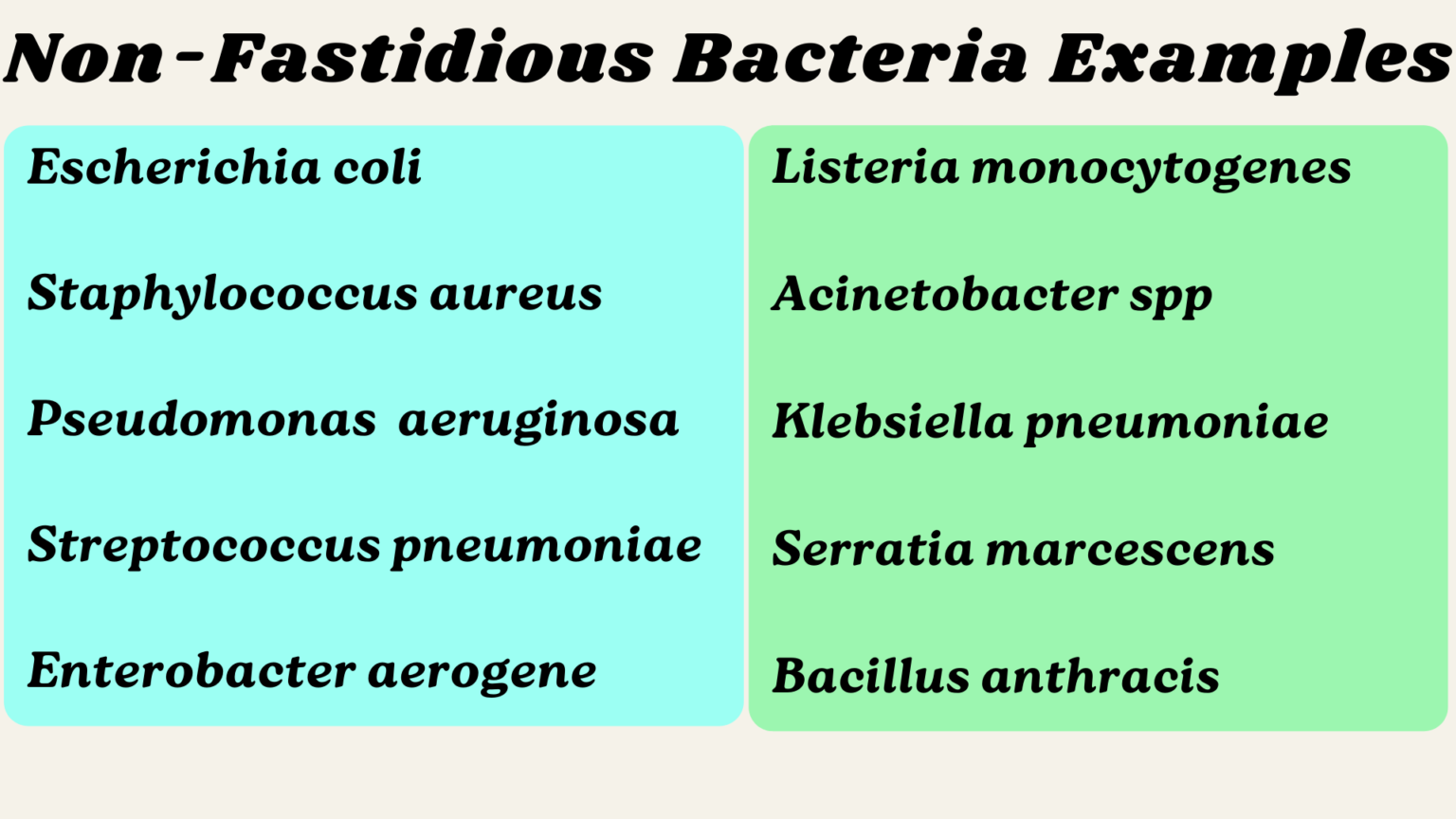 Non Fastidious Bacteria Examples - RBR Life Science